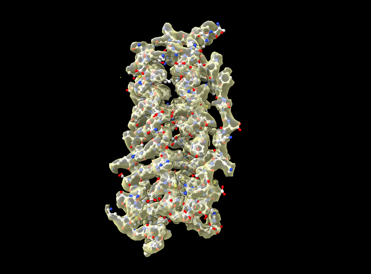 1.96 Å apoferritin map, part II (subunit map) – KPWu's group research site