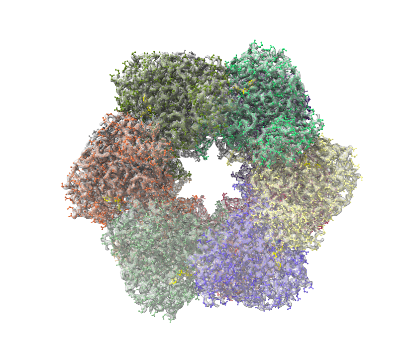 Color zone in ChimeraX – KPWu's group research site