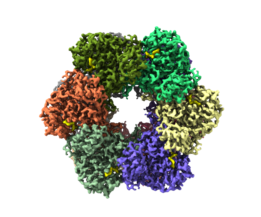 Color zone in ChimeraX – KPWu's group research site