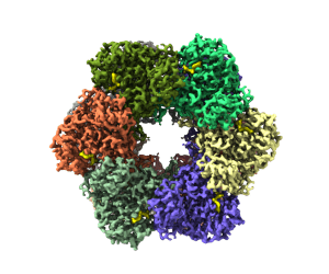 Color zone in ChimeraX – KPWu's group research site