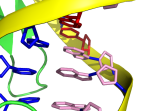 [PyMOL] DNA presentations – KPWu's group research site