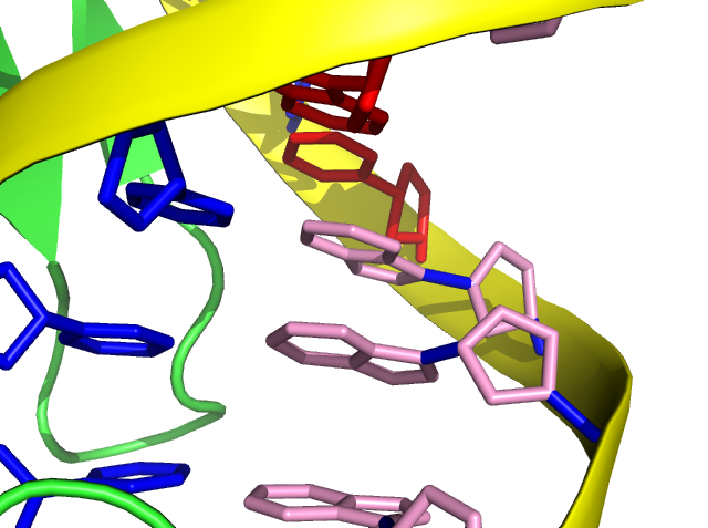 [PyMOL] DNA presentations – KPWu's group research site