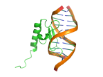 [PyMOL] DNA presentations – KPWu's group research site