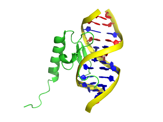 [PyMOL] DNA presentations – KPWu's group research site