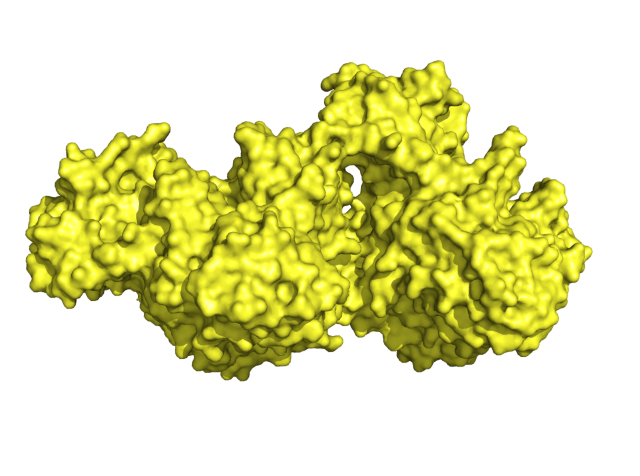 [PyMOL]Advanced rendering — ambient and ambient_occlusion – KPWu's ...