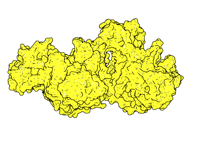 [PyMOL]Advanced rendering — ambient and ambient_occlusion – KPWu's ...