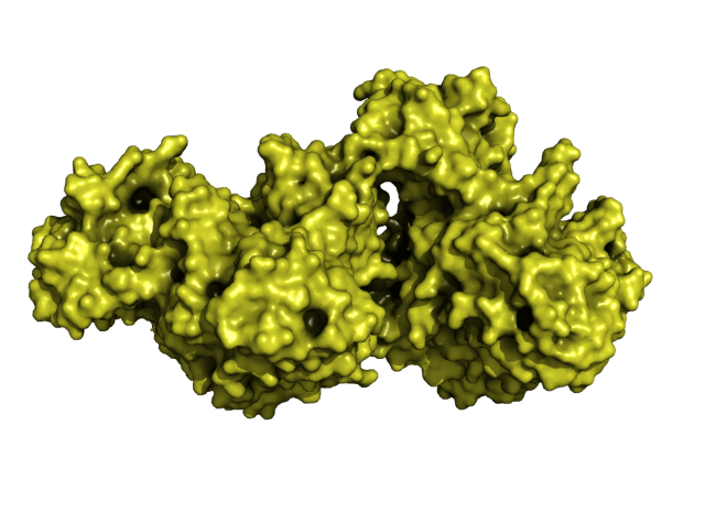 [PyMOL]Advanced rendering — ambient and ambient_occlusion – KPWu's ...