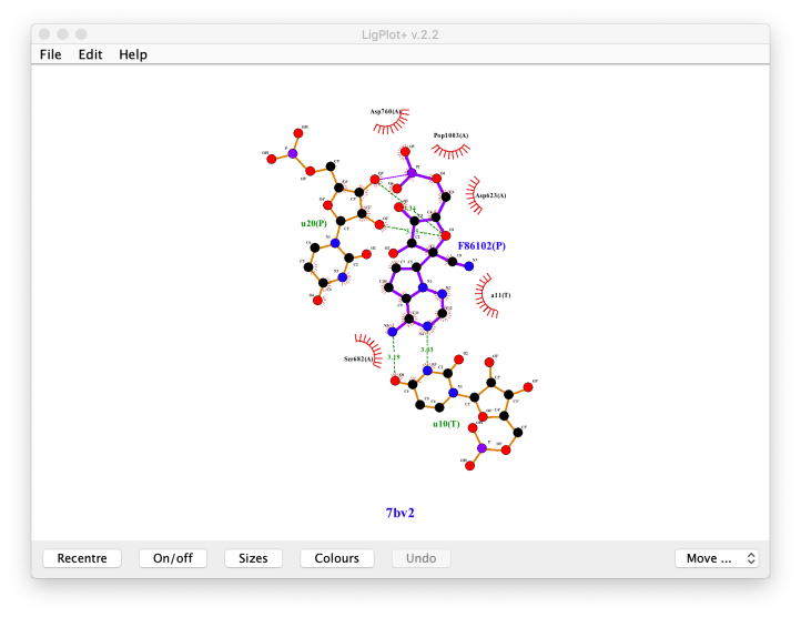 Run LigPlot+ on a mac – KPWu's group research site