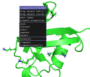 [PyMOL][Chimera]add hydrogens to your structure – KPWu's group research ...