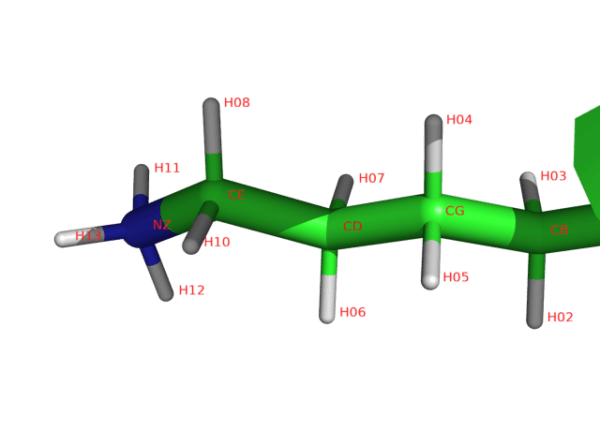 [PyMOL][Chimera]add hydrogens to your structure – KPWu's group research ...