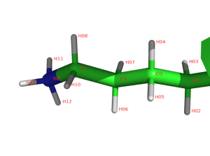 [PyMOL][Chimera]add hydrogens to your structure – KPWu's group research ...