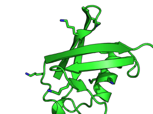 [PyMOL][Chimera]add hydrogens to your structure – KPWu's group research ...