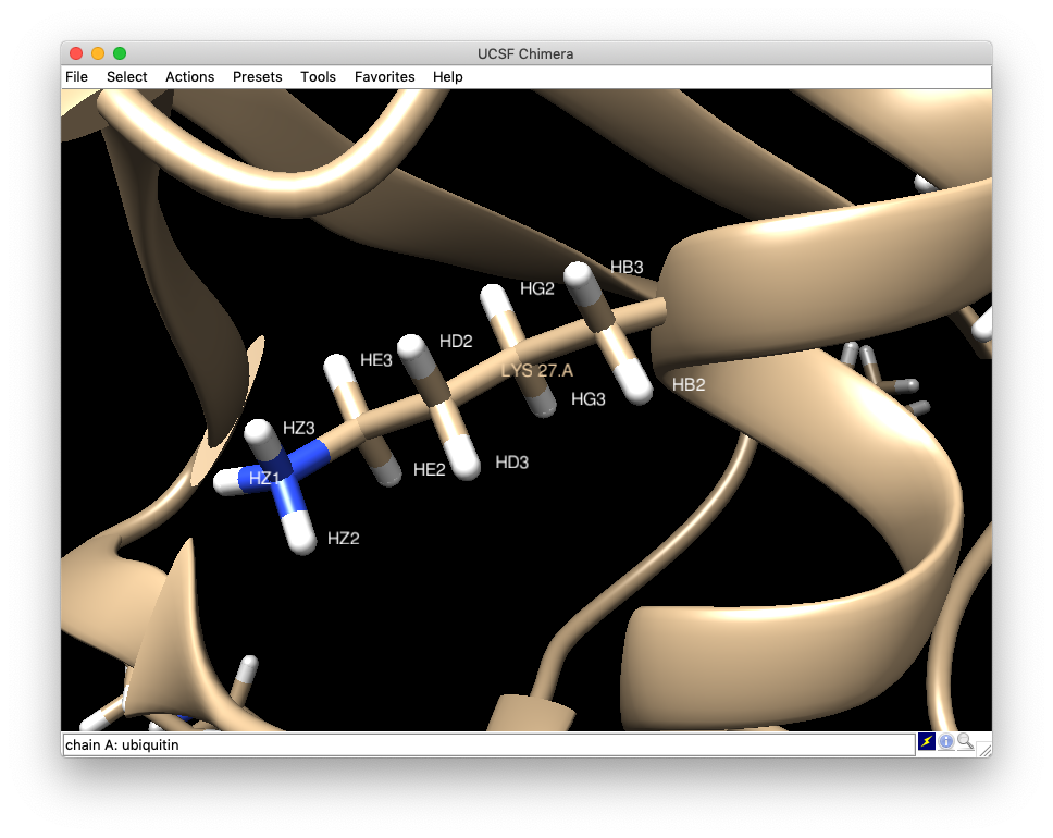 [PyMOL][Chimera]add hydrogens to your structure – KPWu's group research ...