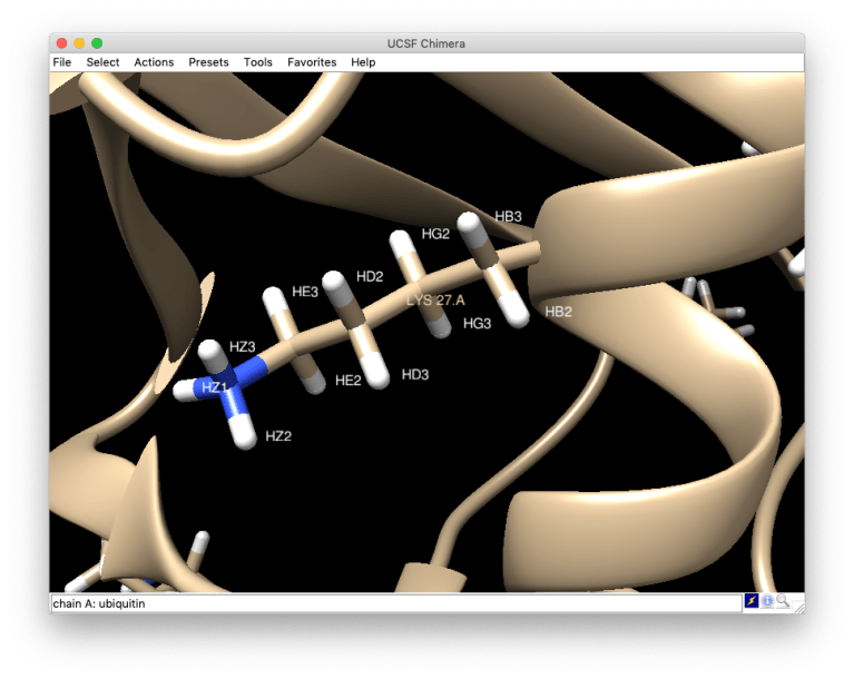 [PyMOL][Chimera]add hydrogens to your structure – KPWu's group research ...