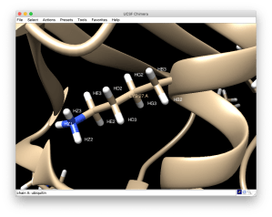 [PyMOL][Chimera]add hydrogens to your structure – KPWu's group research ...