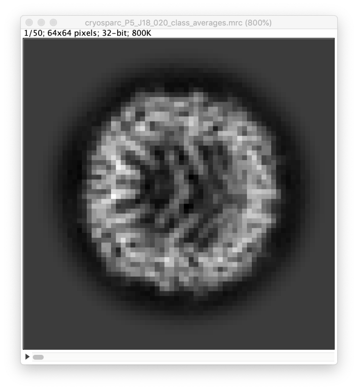 [CryoEM] high resolution 2D class images from cryoSPARC – KPWu's group ...