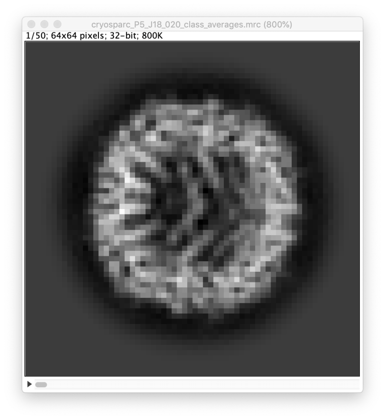 [CryoEM] high resolution 2D class images from cryoSPARC – KPWu's group ...