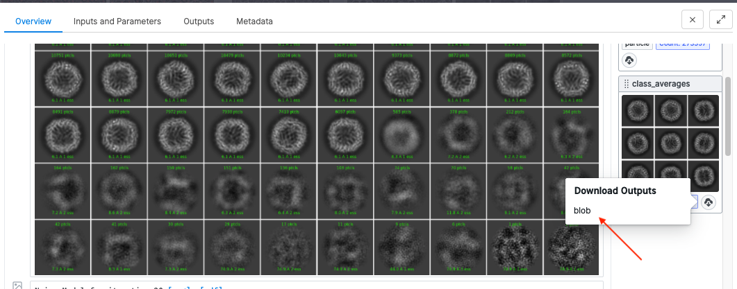 [CryoEM] high resolution 2D class images from cryoSPARC – KPWu's group ...