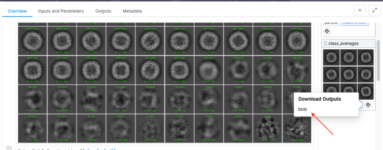 [CryoEM] high resolution 2D class images from cryoSPARC – KPWu's group ...