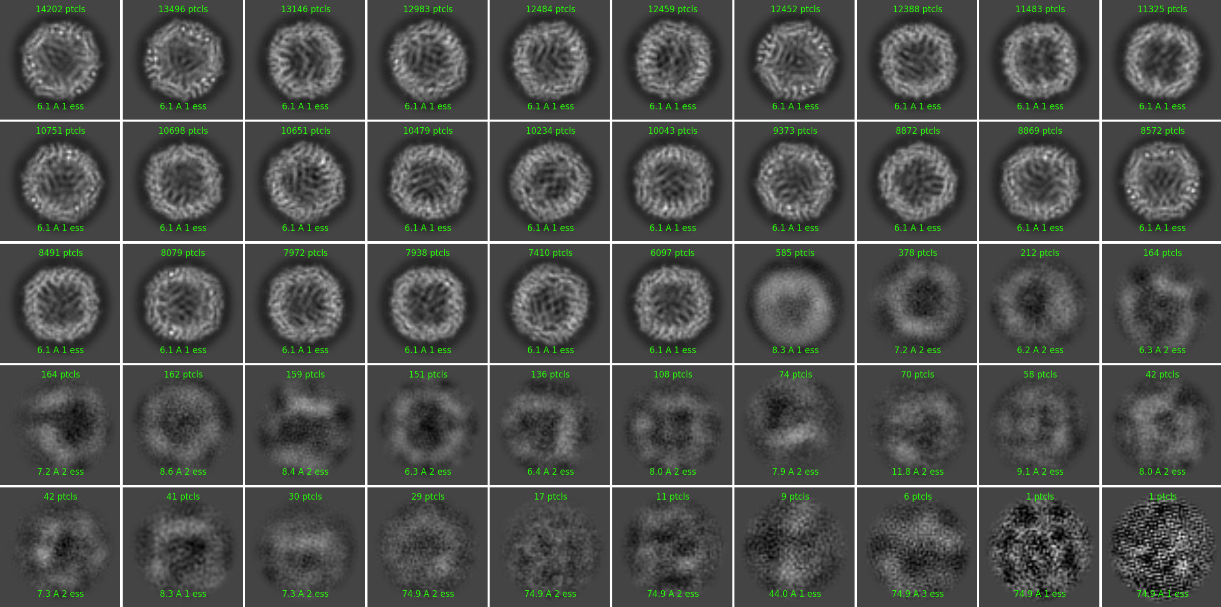 [CryoEM] high resolution 2D class images from cryoSPARC – KPWu's group ...