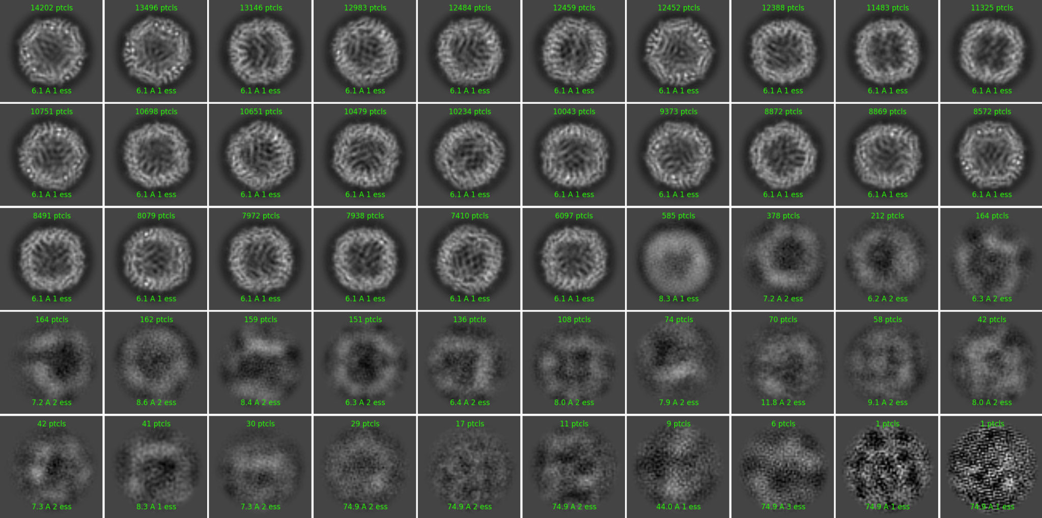 [CryoEM] high resolution 2D class images from cryoSPARC – KPWu's group ...