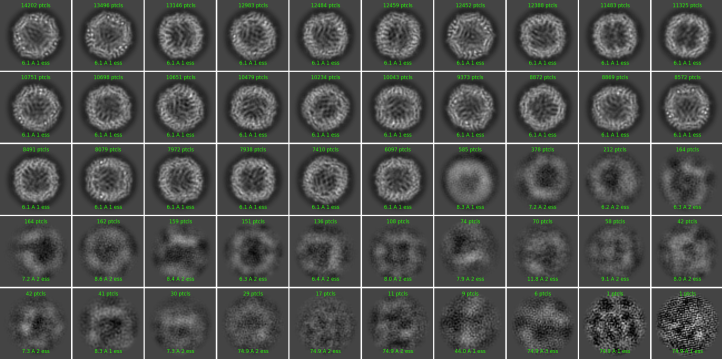 [CryoEM] high resolution 2D class images from cryoSPARC – KPWu's group ...