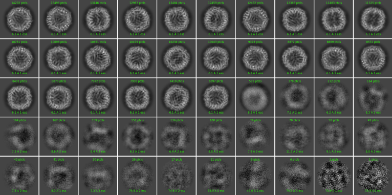 [CryoEM] high resolution 2D class images from cryoSPARC – KPWu's group ...