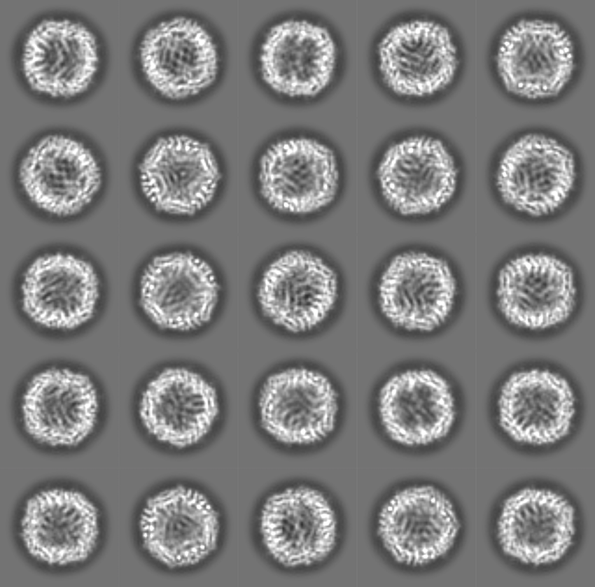 [CryoEM] high resolution 2D class images from cryoSPARC – KPWu's group research site