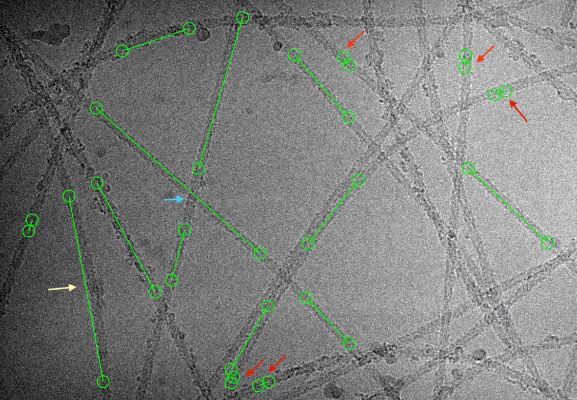 Import crYOLO’s particle list into RELION 3.1 and after – KPWu's group ...