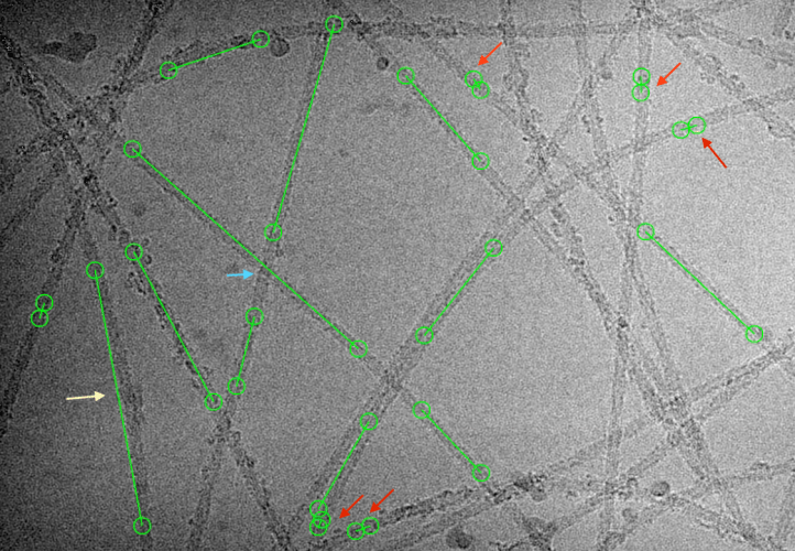 Import crYOLO’s particle list into RELION 3.1 and after – KPWu's group ...