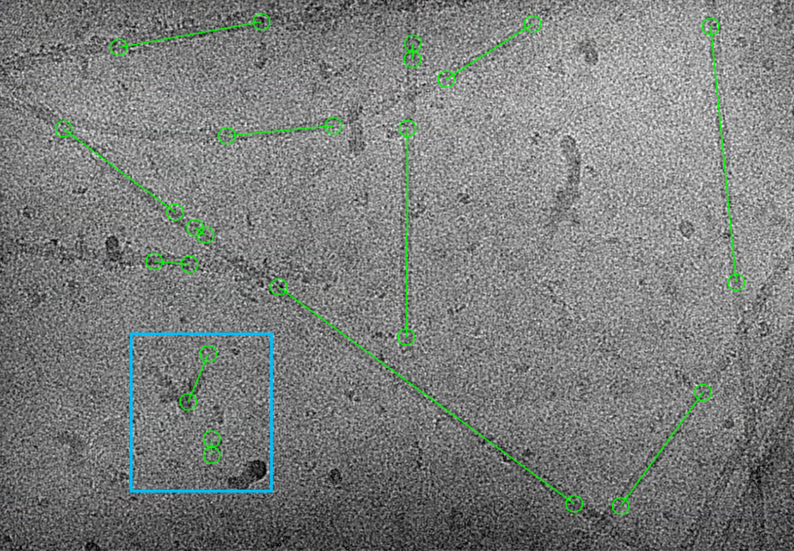 Import crYOLO’s particle list into RELION 3.1 and after – KPWu's group ...