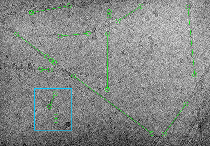 Import crYOLO’s particle list into RELION 3.1 and after – KPWu's group ...