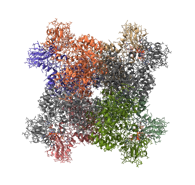 [ChimeraX] A brief chimeraX tutorial – KPWu's group research site
