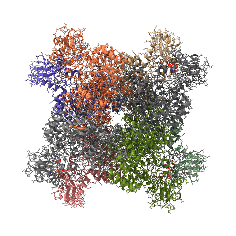 [ChimeraX] A brief chimeraX tutorial – KPWu's group research site