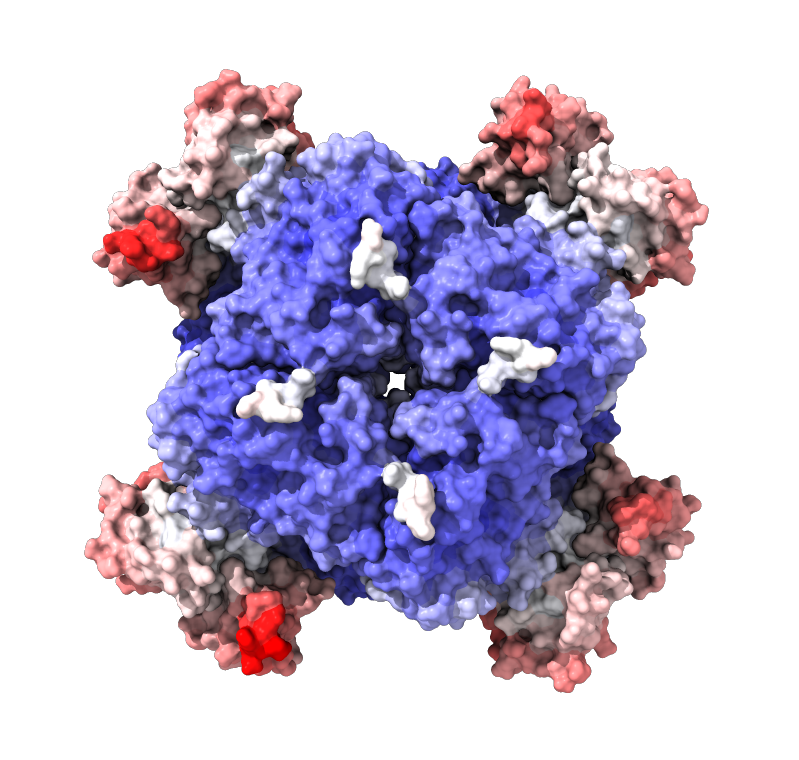 [ChimeraX] A brief chimeraX tutorial – KPWu's group research site