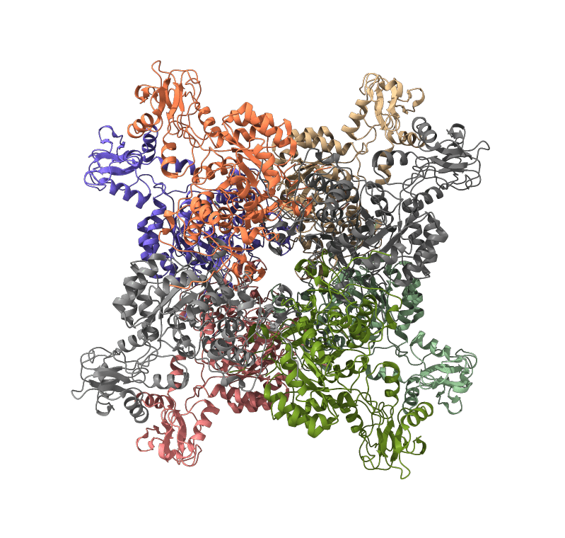[ChimeraX] A brief chimeraX tutorial – KPWu's group research site