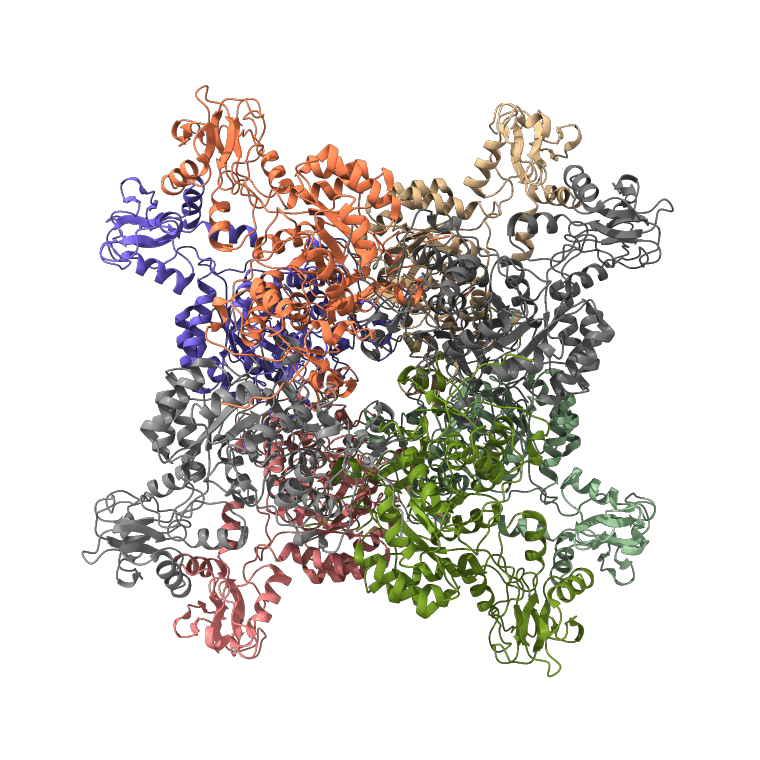 [ChimeraX] A brief chimeraX tutorial – KPWu's group research site