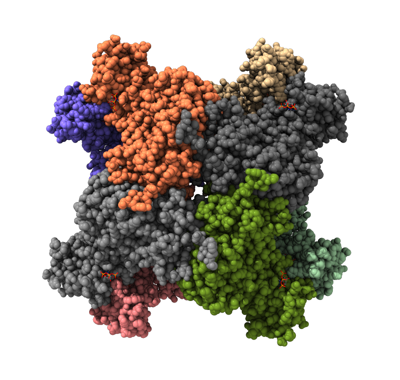 [ChimeraX] A brief chimeraX tutorial – KPWu's group research site