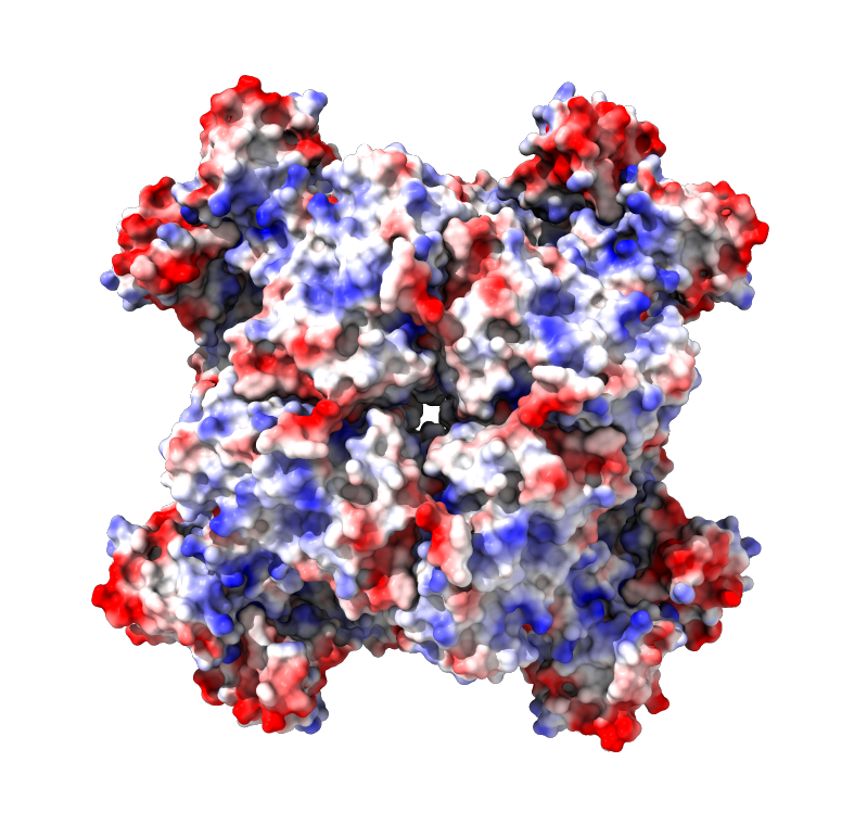 [ChimeraX] A brief chimeraX tutorial – KPWu's group research site