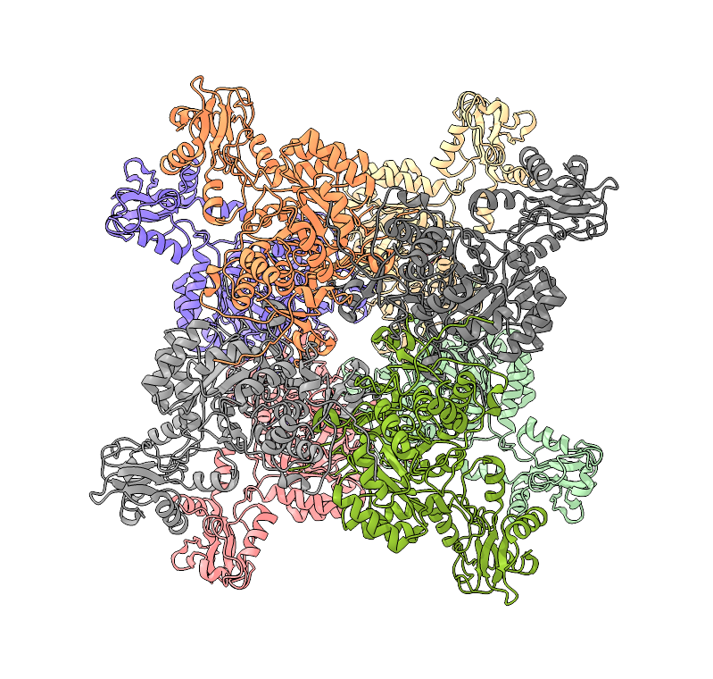 [ChimeraX] A brief chimeraX tutorial – KPWu's group research site