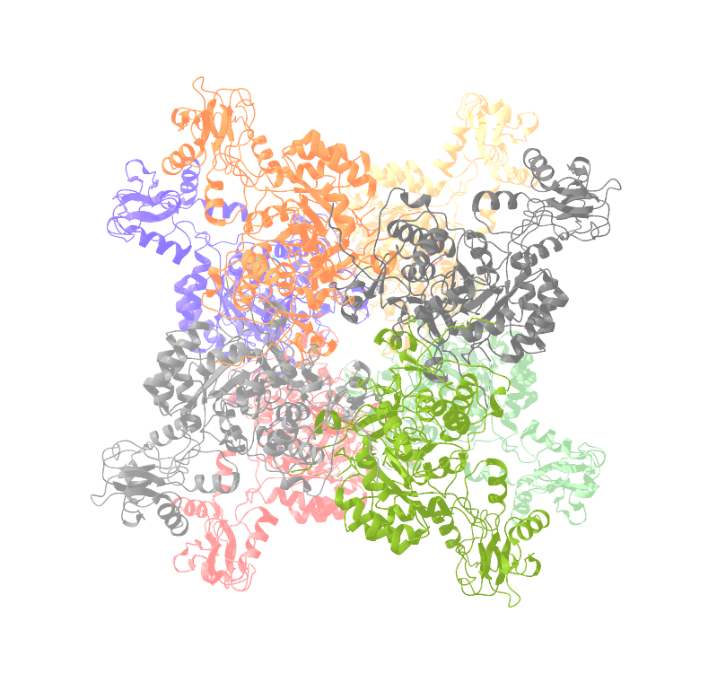 [ChimeraX] A brief chimeraX tutorial – KPWu's group research site