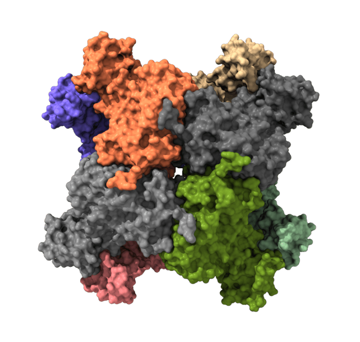 [ChimeraX] A brief chimeraX tutorial – KPWu's group research site