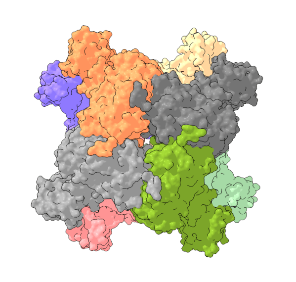 [ChimeraX] A brief chimeraX tutorial – KPWu's group research site