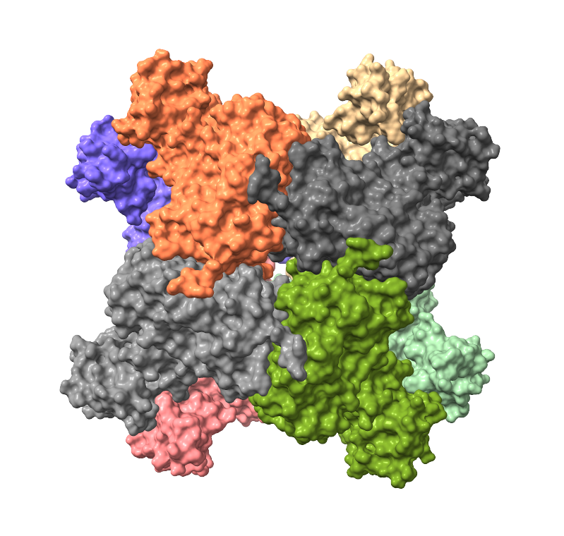 [ChimeraX] A brief chimeraX tutorial – KPWu's group research site