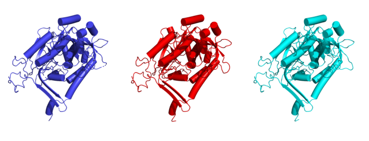 Quick tests of Model-Angelo – KPWu's group research site