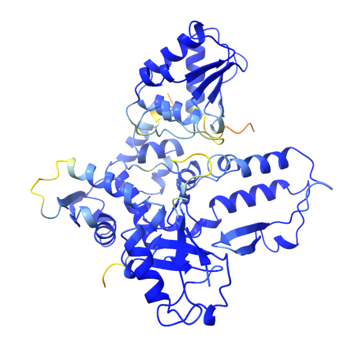 AlphaFold2 vs AlphaFold3: Protein Structure Quality Comparison – KPWu's ...